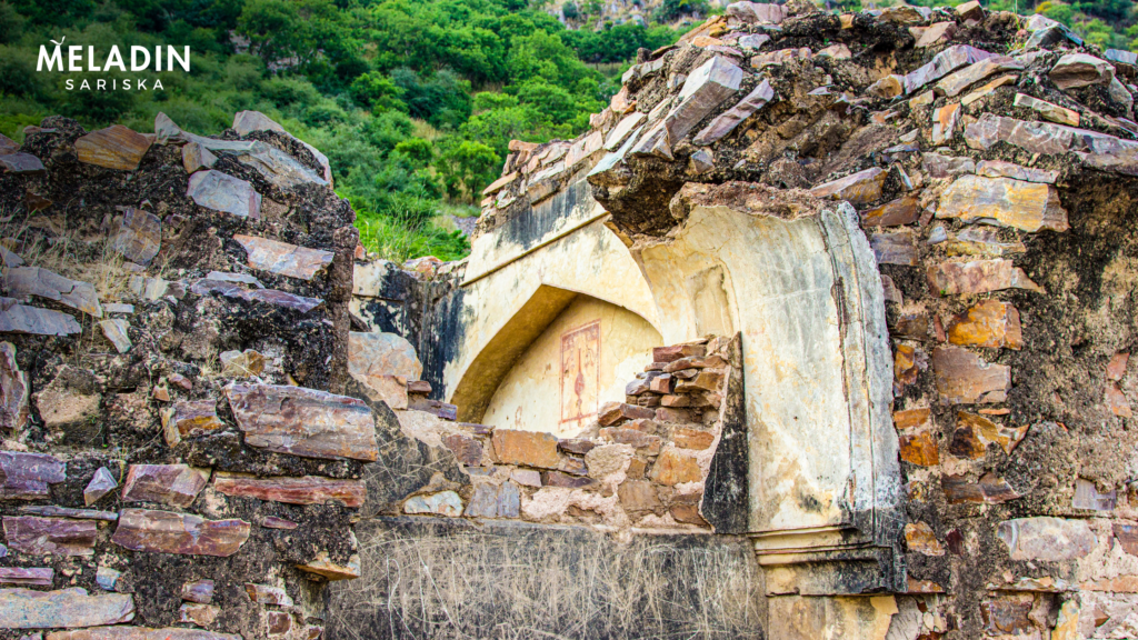 Meladin Sariska - Where Luxury Meets the Wild